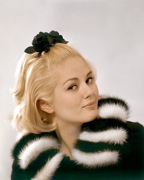 Picture of Beba Loncar