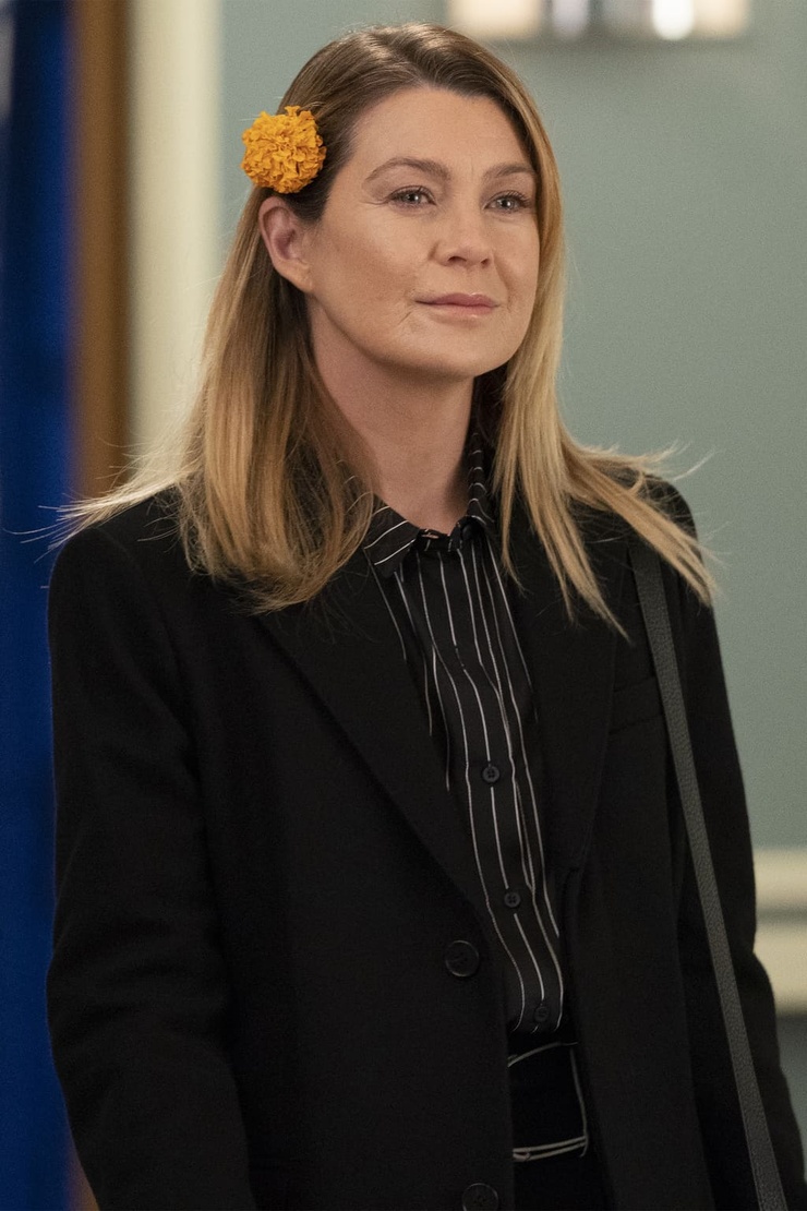 Picture of Dr. Meredith Grey