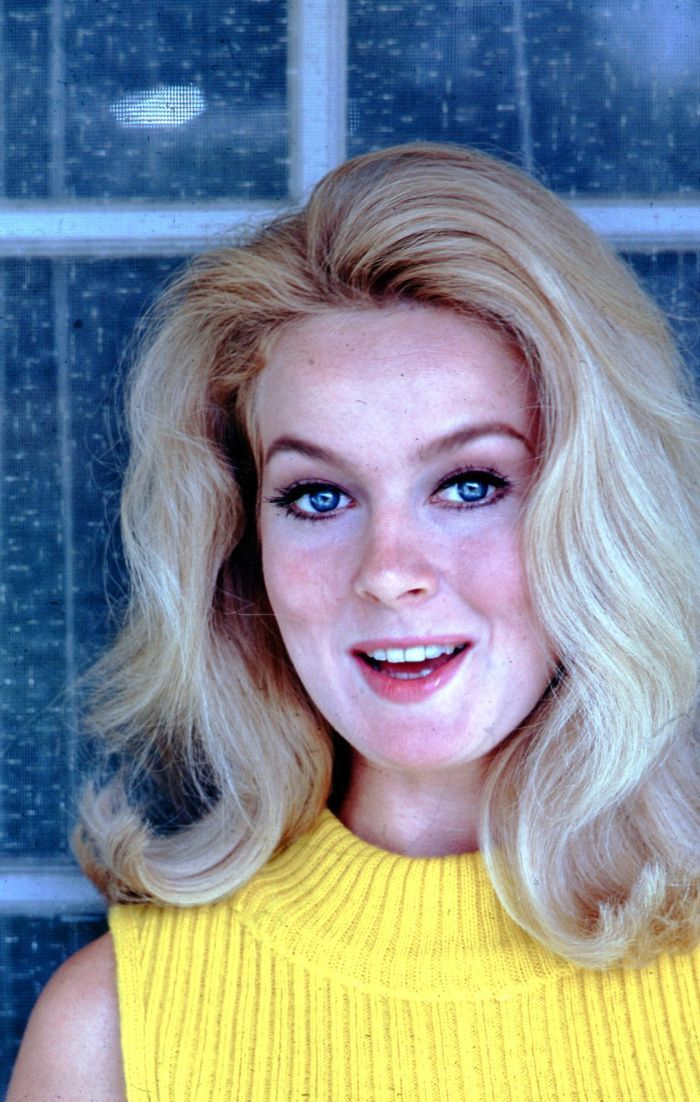 Image of Venita Wolf