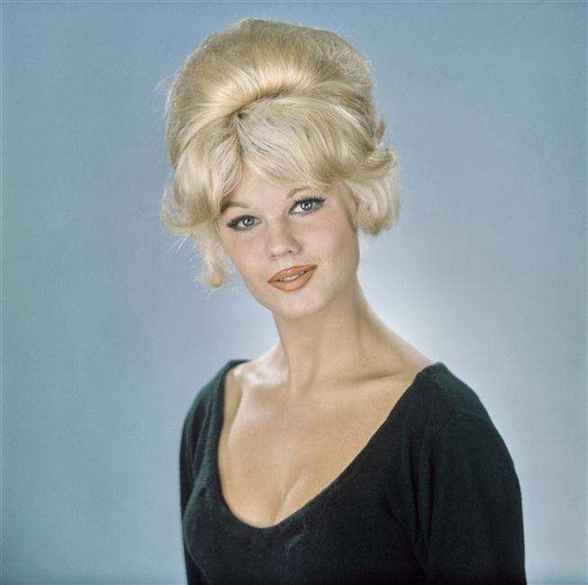 Ingela Brander image