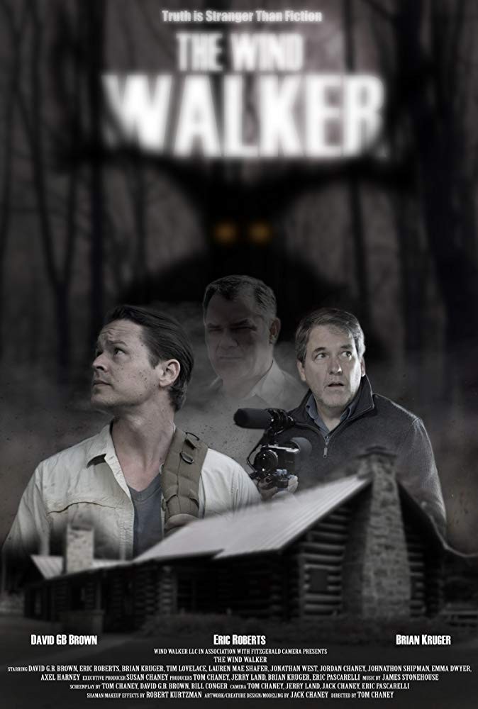 Picture of The Wind Walker (2020)