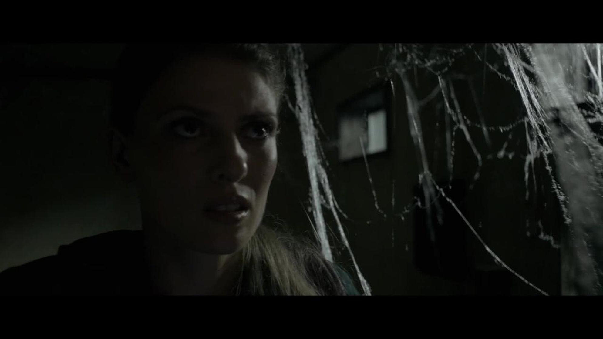 Camp Cold Brook Movie