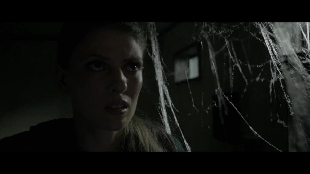 Camp Cold Brook Movie