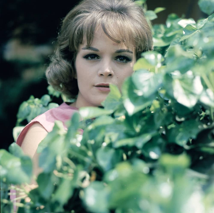 Picture of Letícia Román