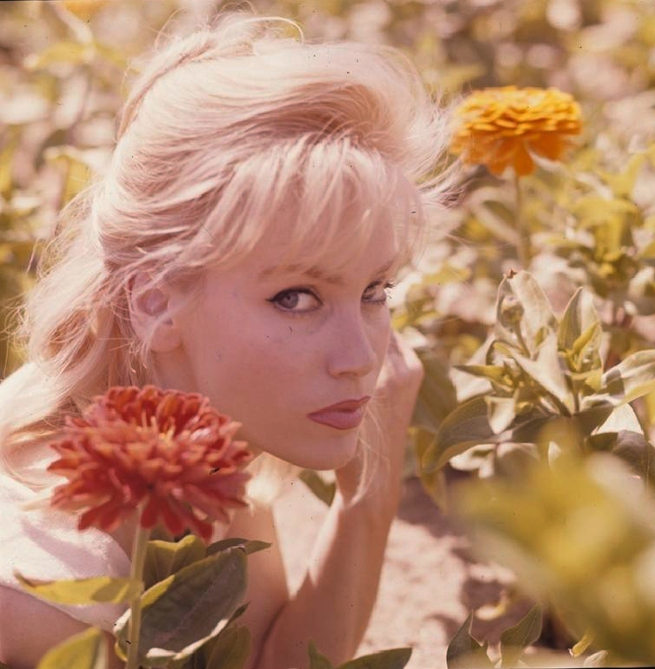 Picture of Estella Blain