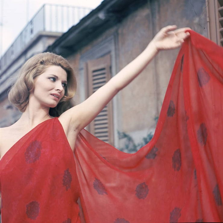 Picture of Scilla Gabel