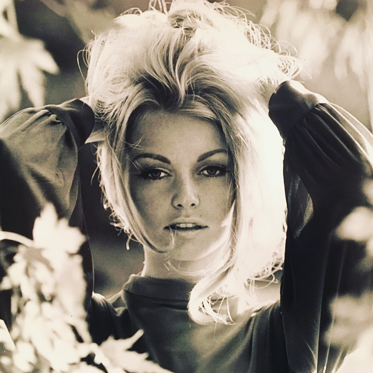 Image of Tracey Crisp