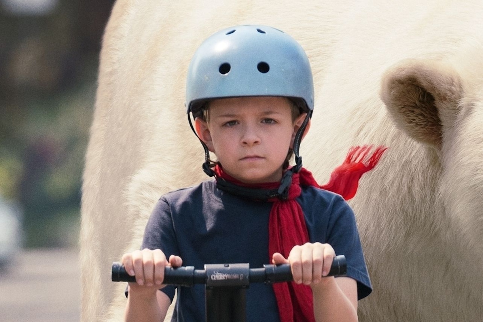 Picture of Timmy Failure: Mistakes Were Made