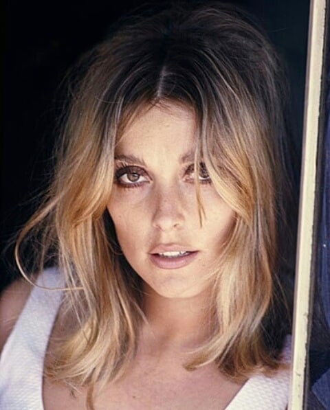 Picture of Sharon Tate