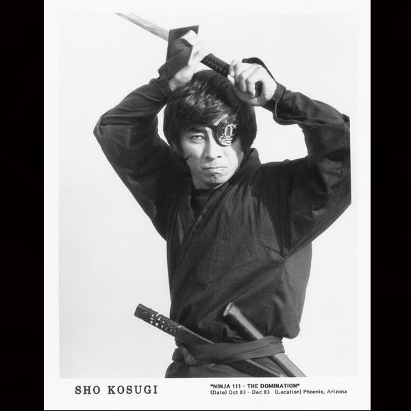 Ninja III: The Domination picture