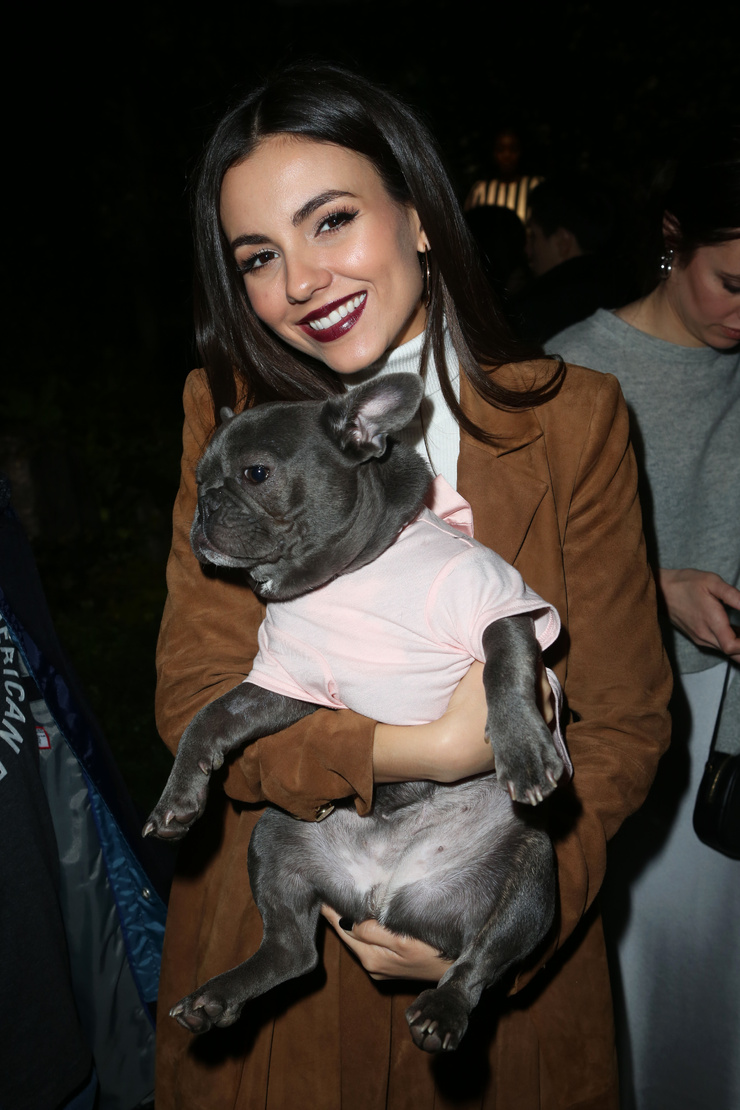 Picture of Victoria Justice