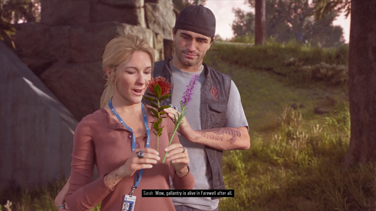 Picture of Days Gone