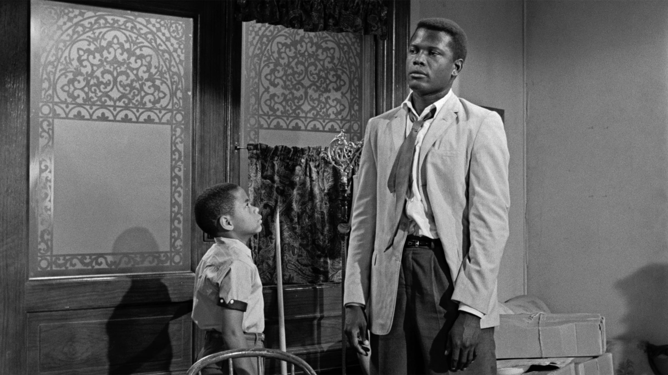 Picture of A Raisin in the Sun