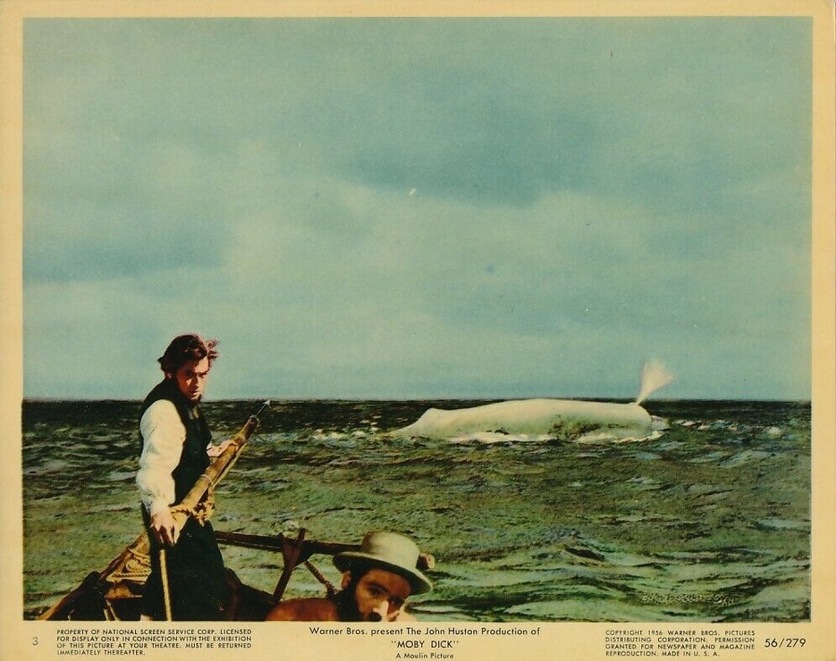 Picture of Moby Dick