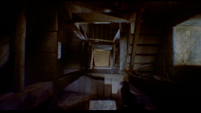 Picture of Vertigo