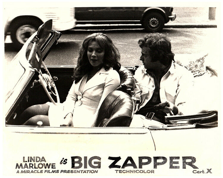 Picture of Big Zapper
