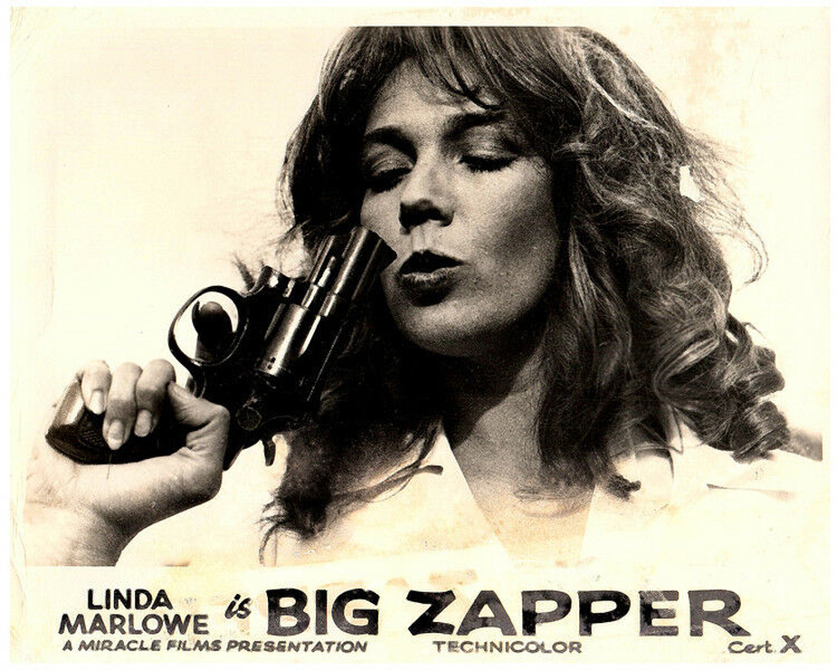 Picture of Big Zapper