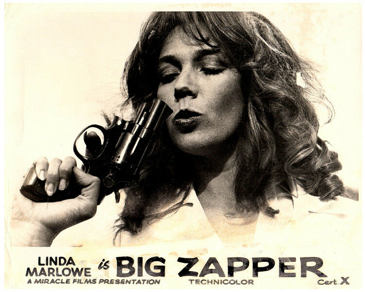 Picture of Big Zapper