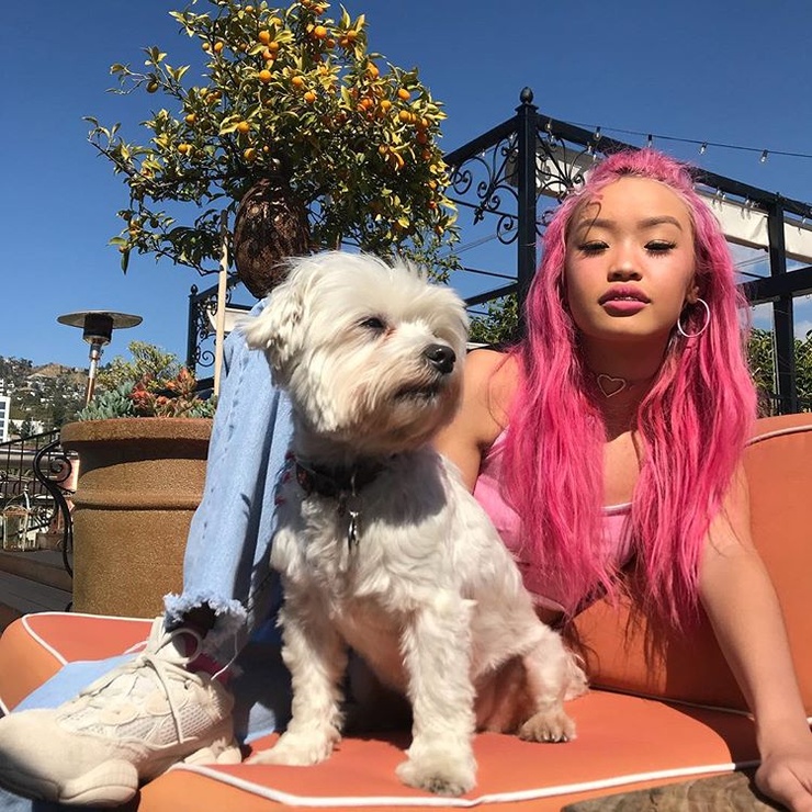 Picture of Chinqpink