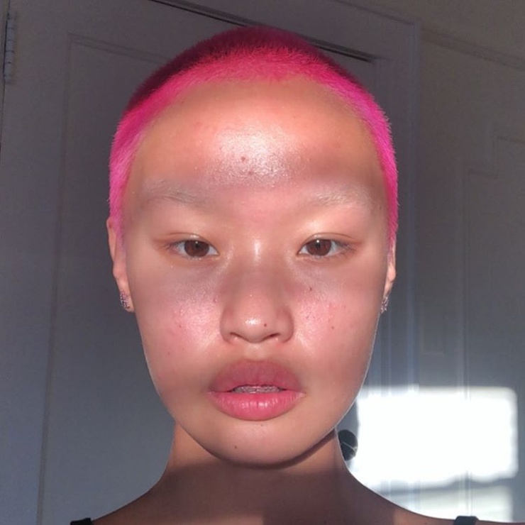 Picture of Chinqpink