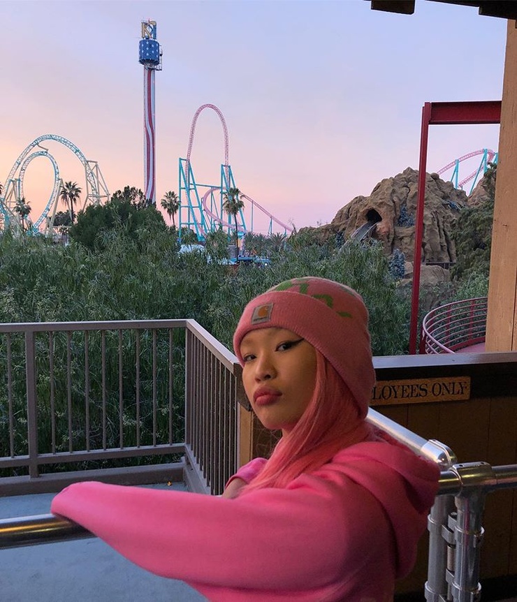 Picture of Chinqpink