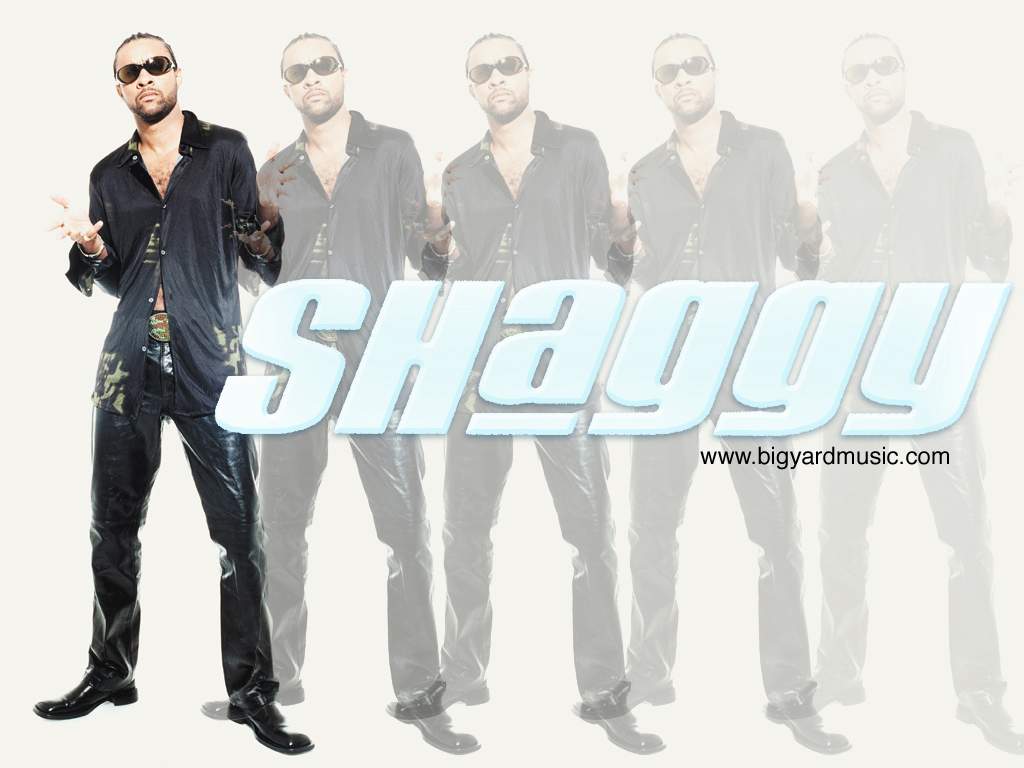 Shaggy image