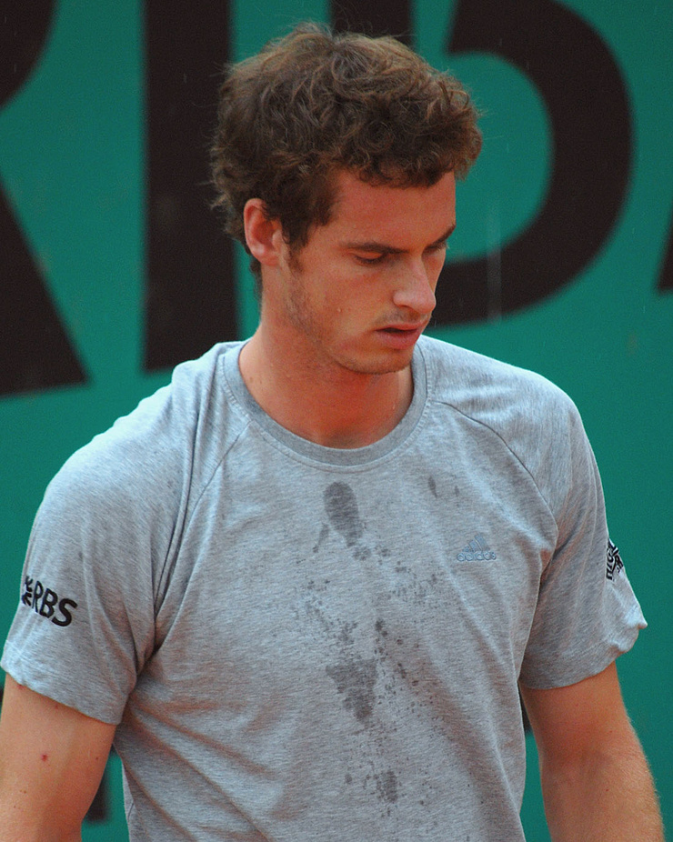 Picture of Andy Murray