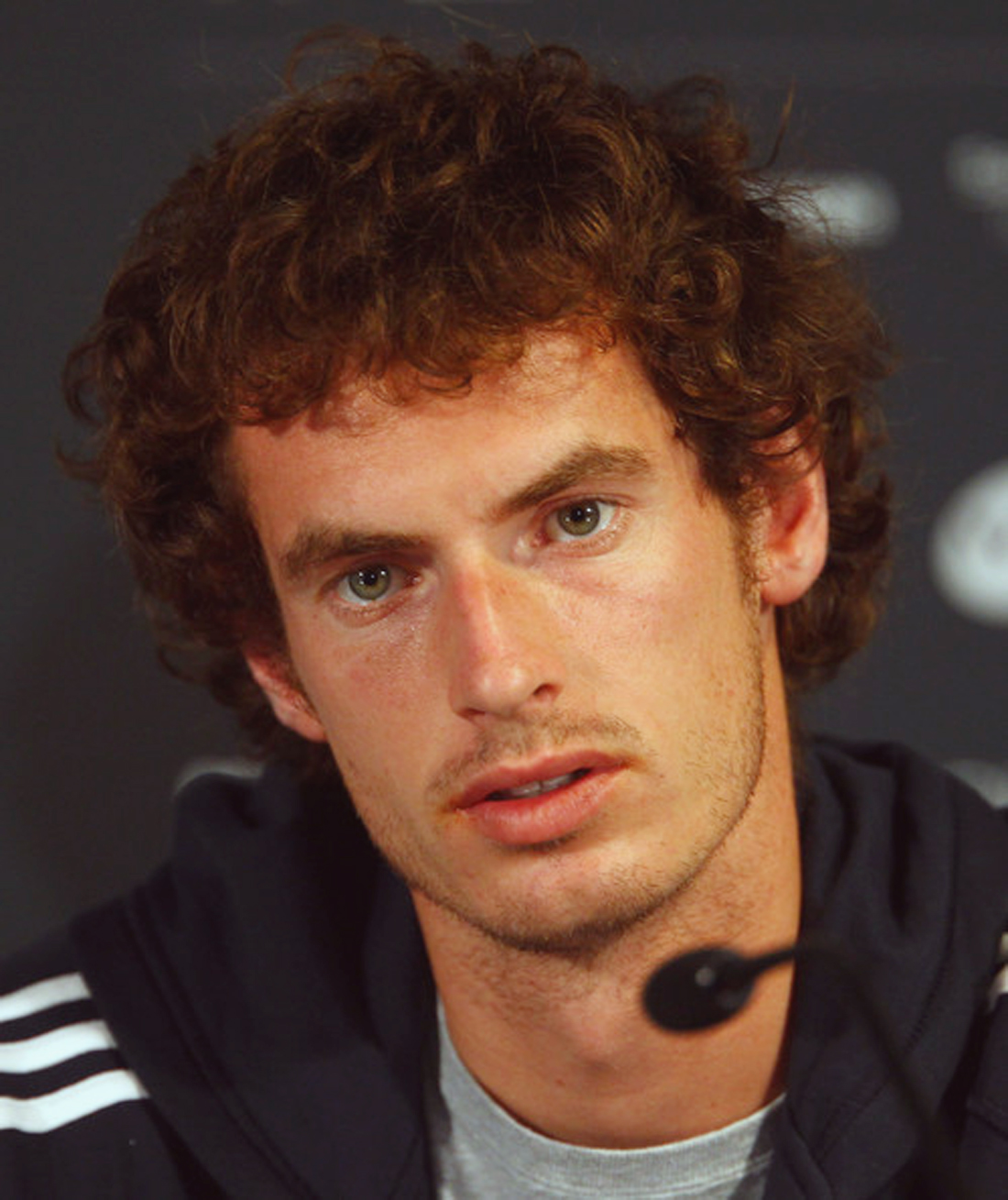 Picture of Andy Murray