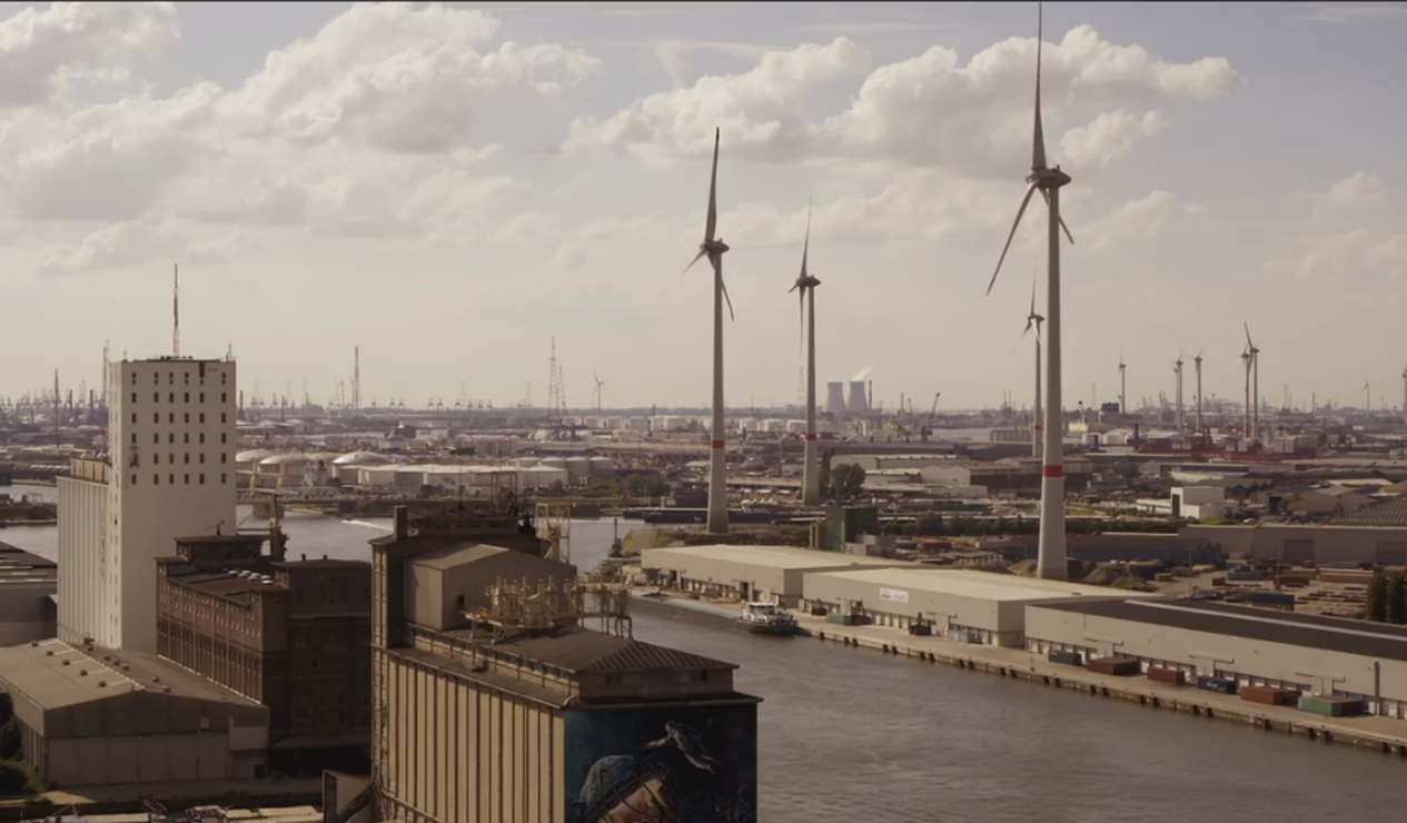 Picture of Der weiße Wal