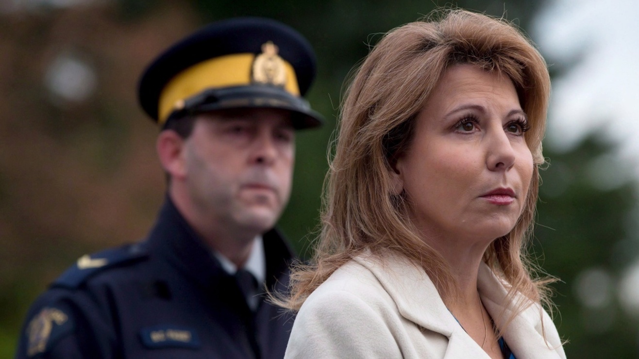 Dianne Watts image