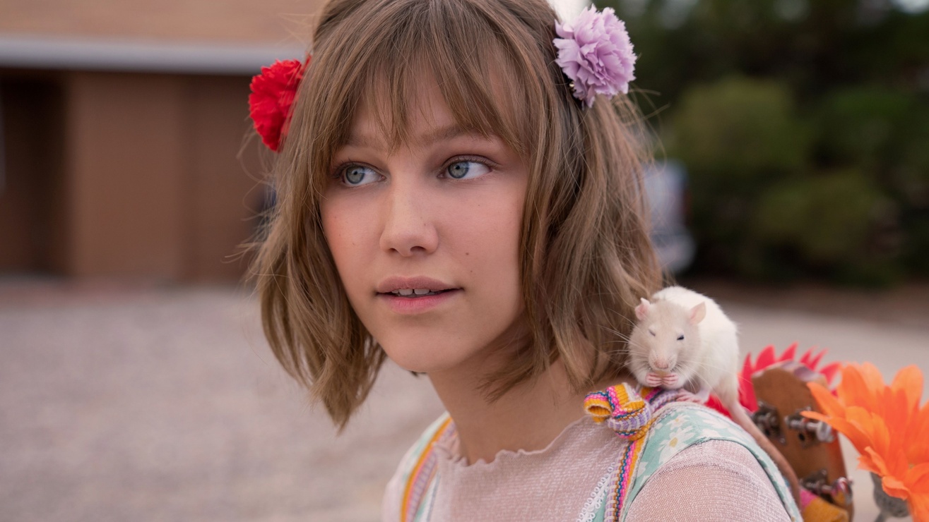 Stargirl image