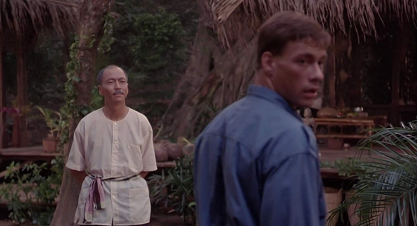 Picture of Kickboxer