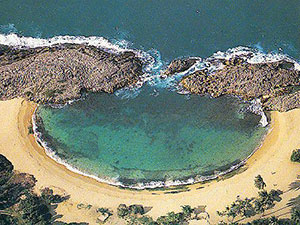 Picture of Manatí