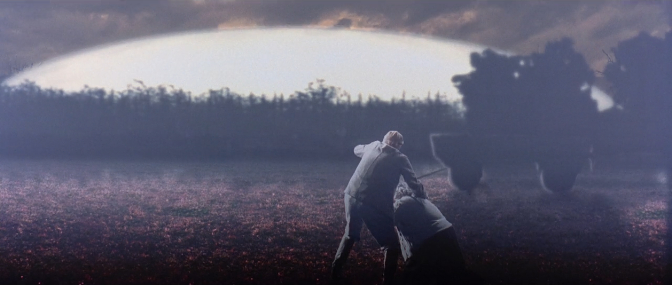 Picture of The Peacemaker