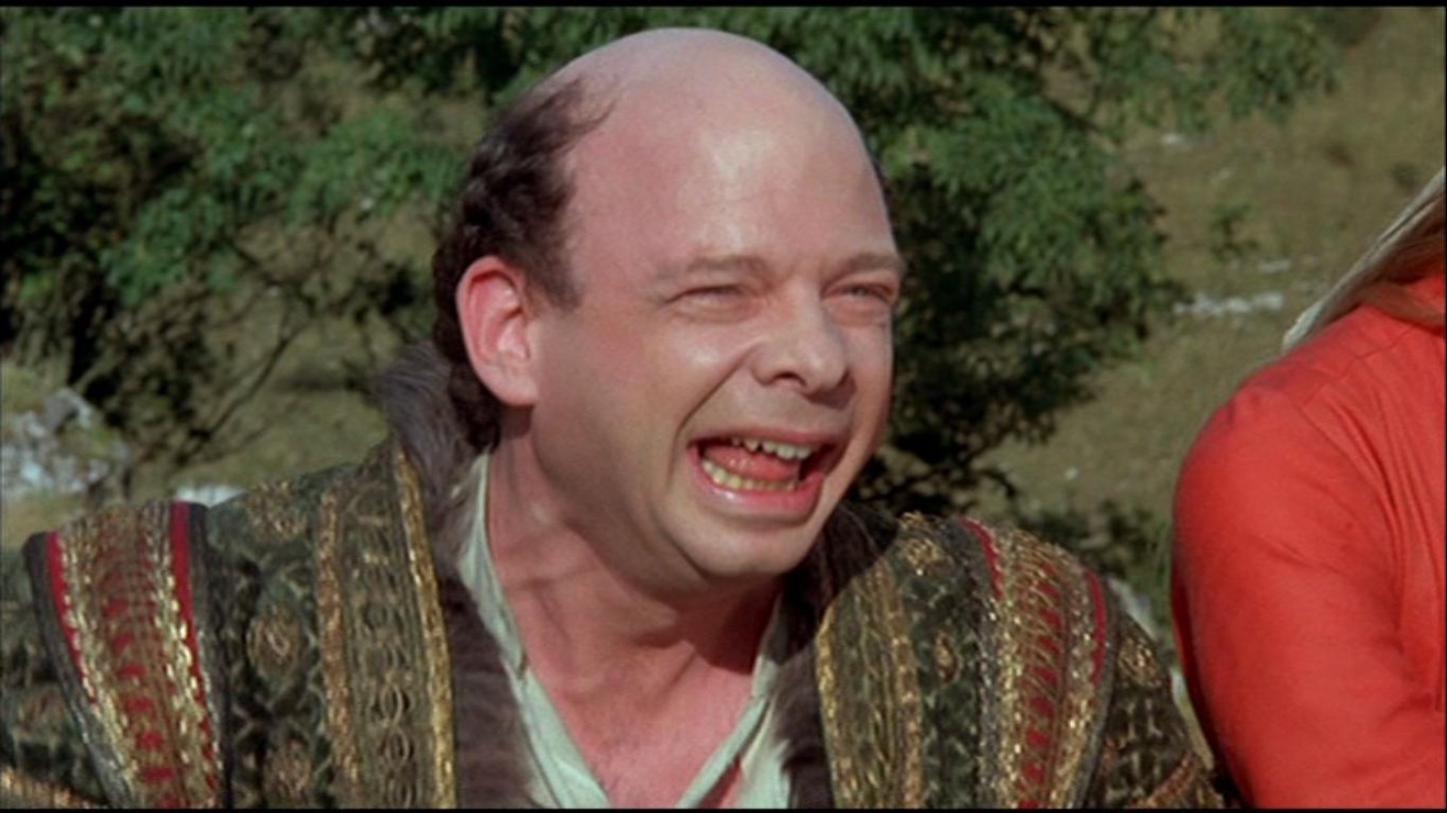 Picture of The Princess Bride