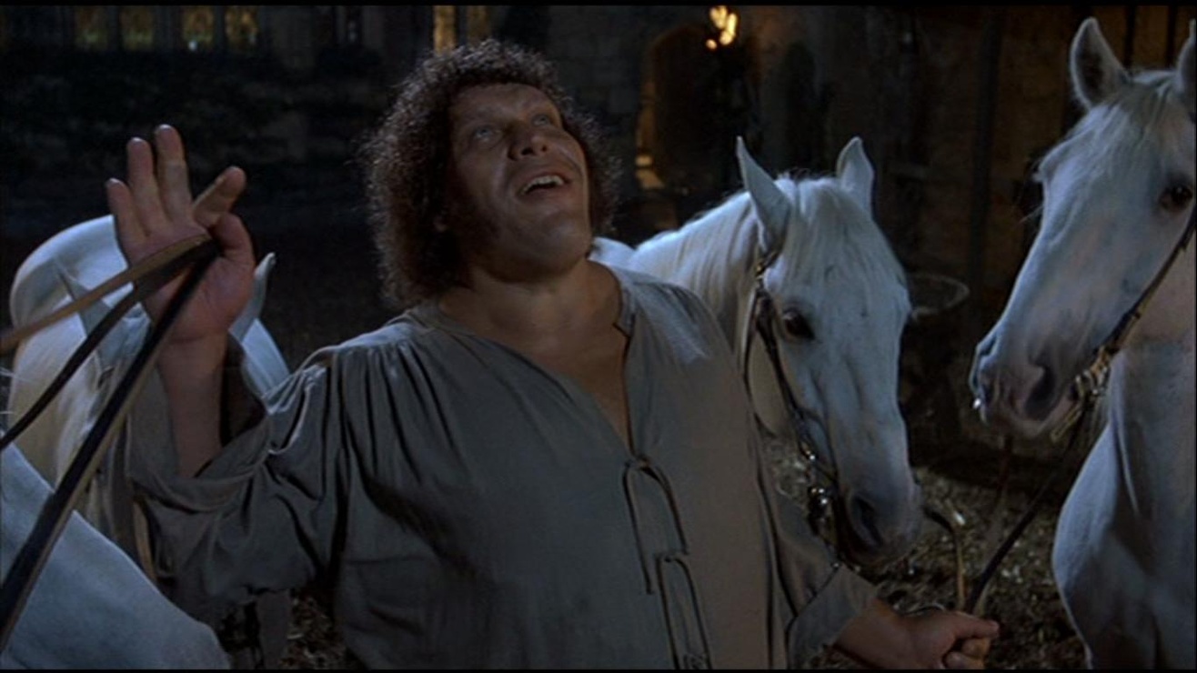 Picture of The Princess Bride