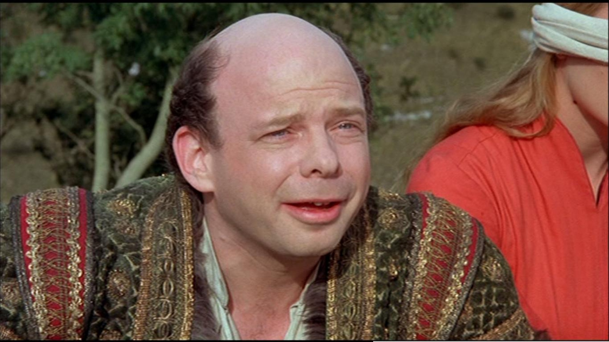 Picture of The Princess Bride