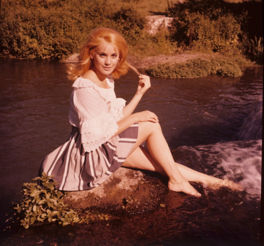 Geneviève Grad image