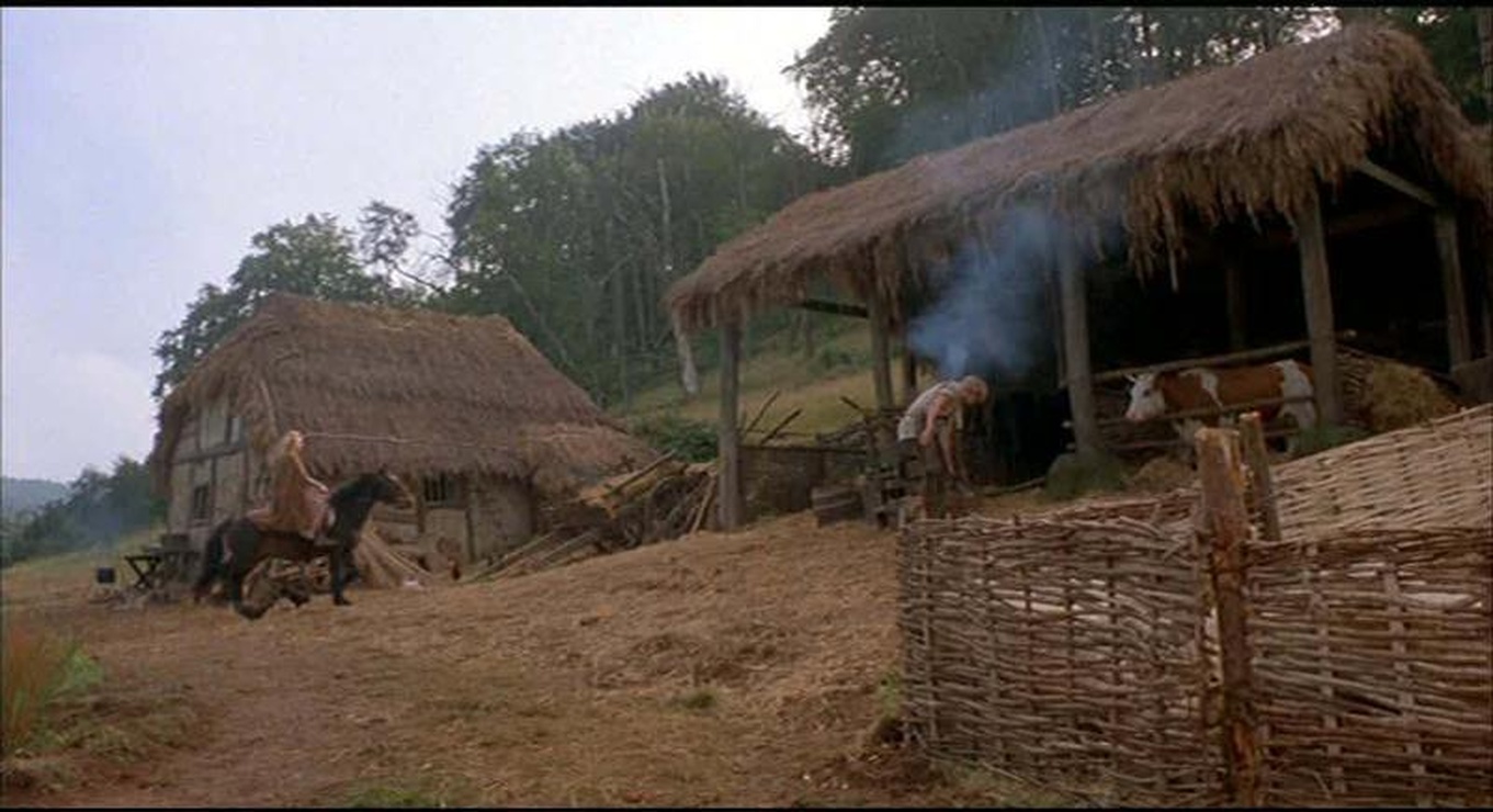 Picture of The Princess Bride