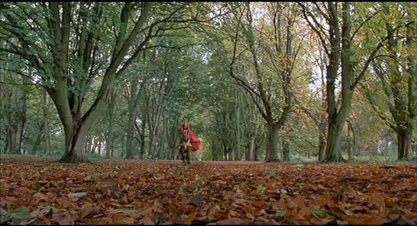 The Princess Bride image