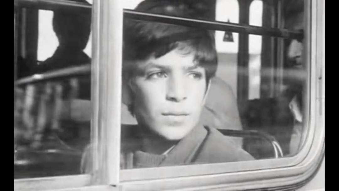 Picture of The Experience