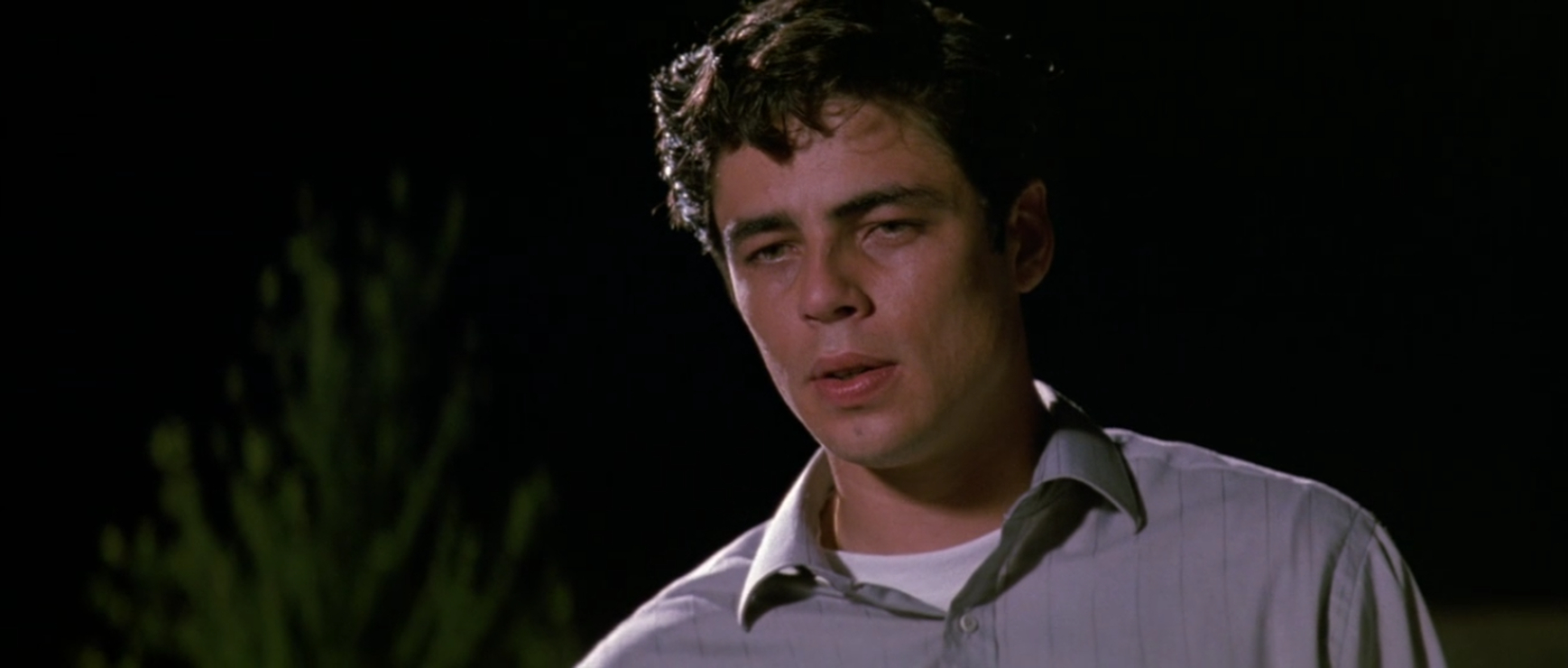 Picture of China Moon