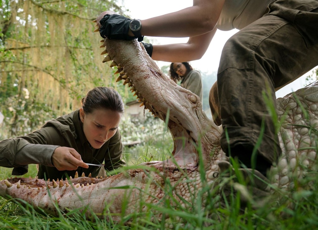 Annihilation picture