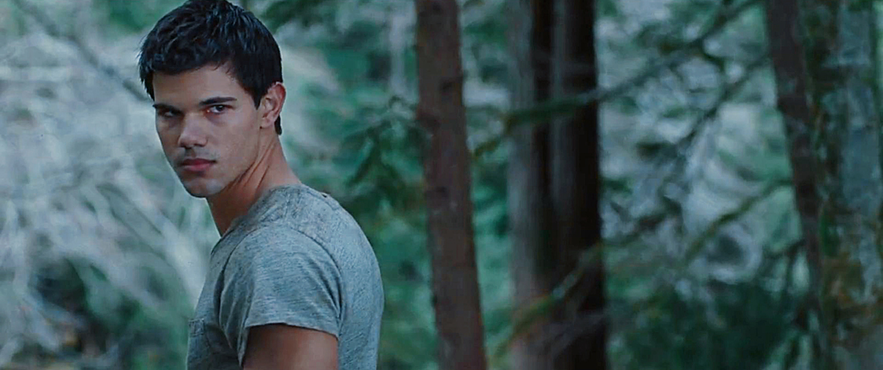 Image of Taylor Lautner