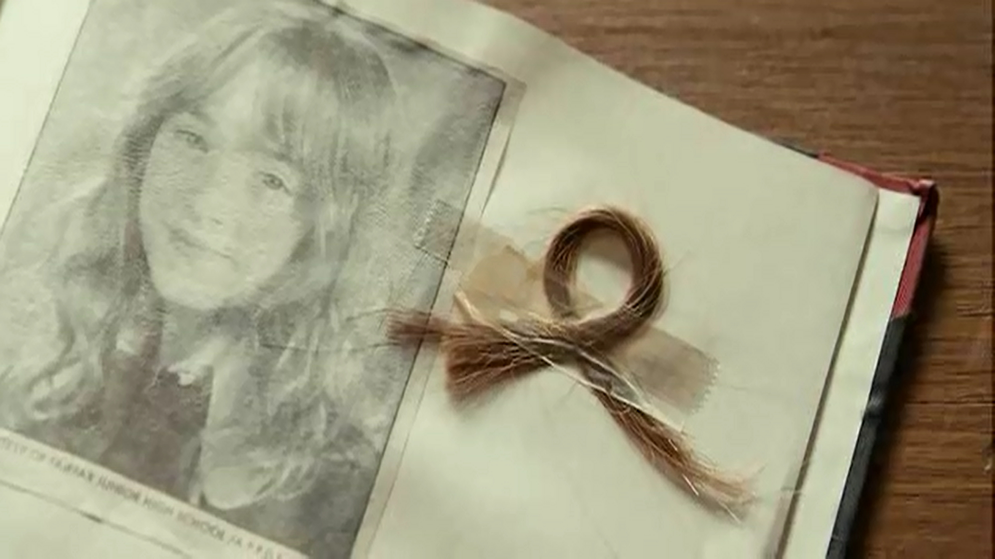 The Lovely Bones image