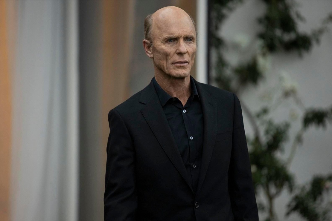 Picture of Westworld