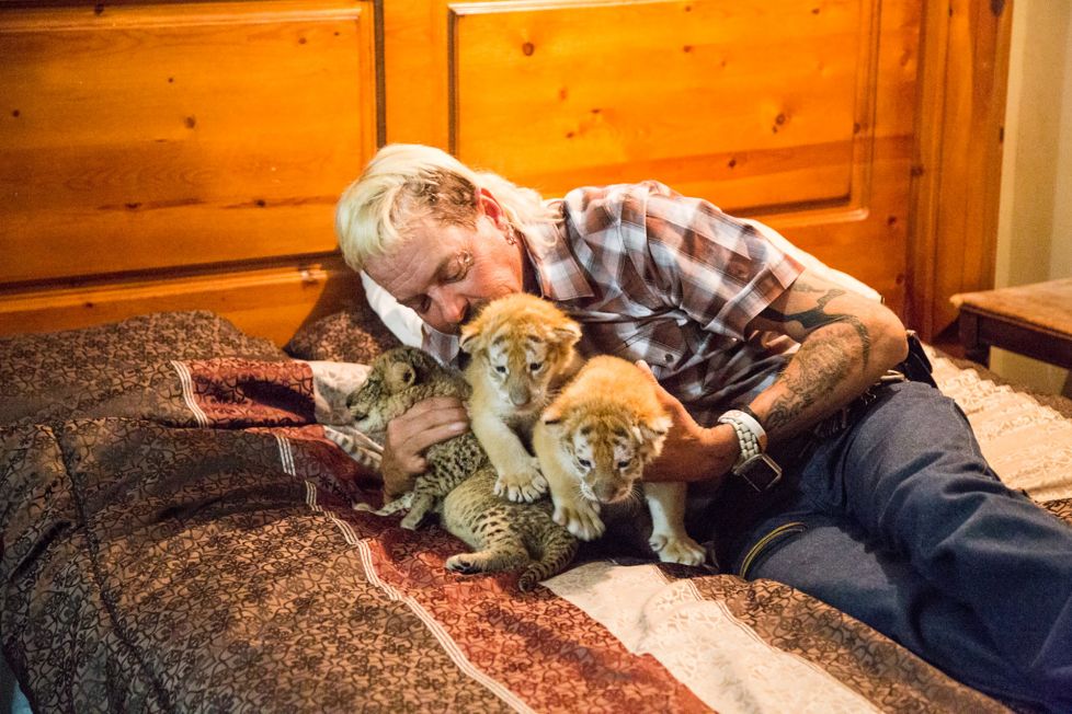 Picture of Tiger King