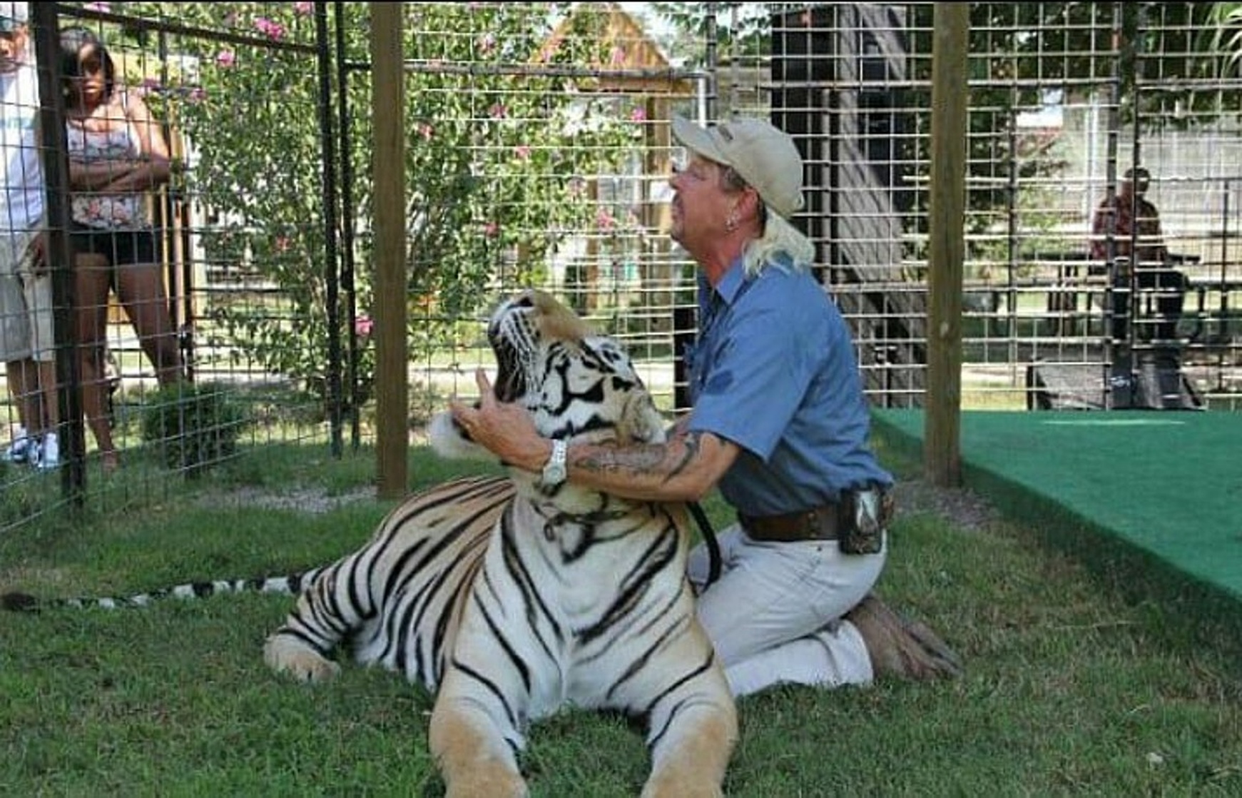Picture of Tiger King