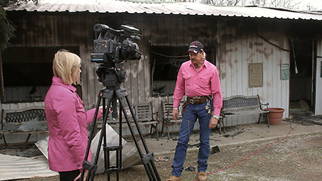 Picture of Tiger King