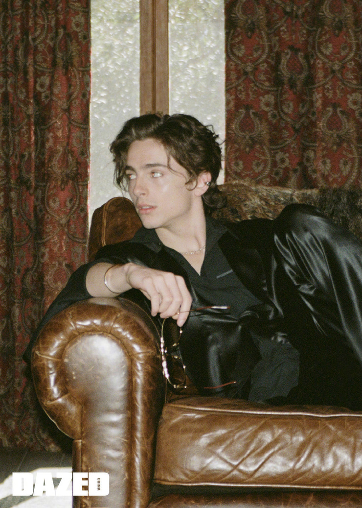 Picture of Timothée Chalamet